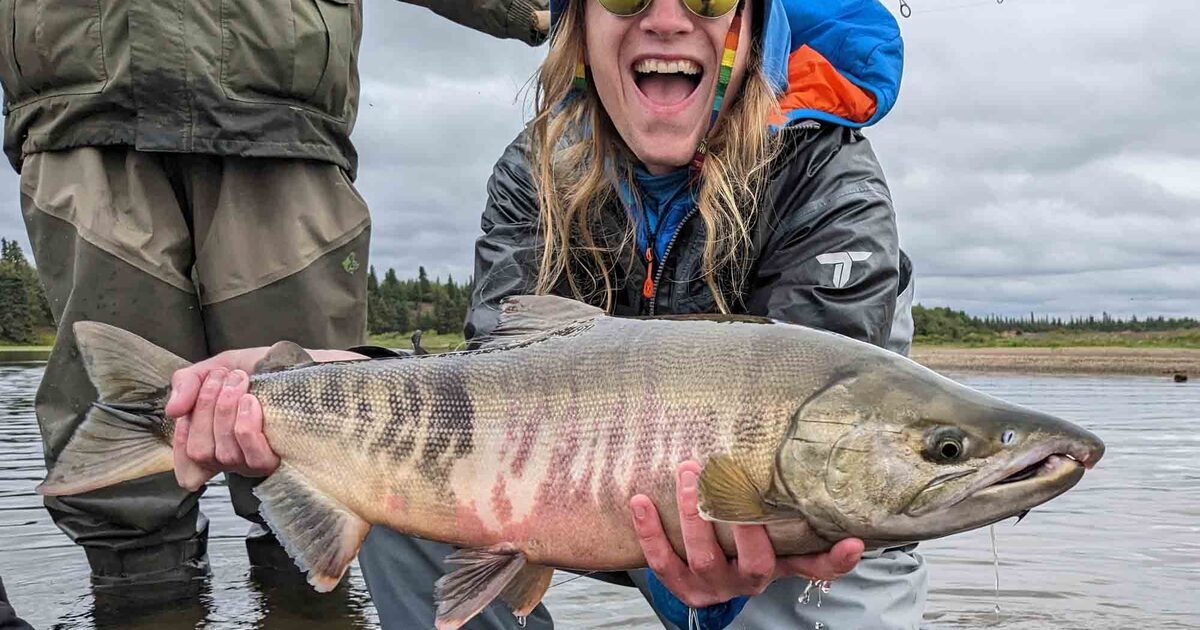 ATA Season Overview 2023 | Reports | Where Wise Men Fish