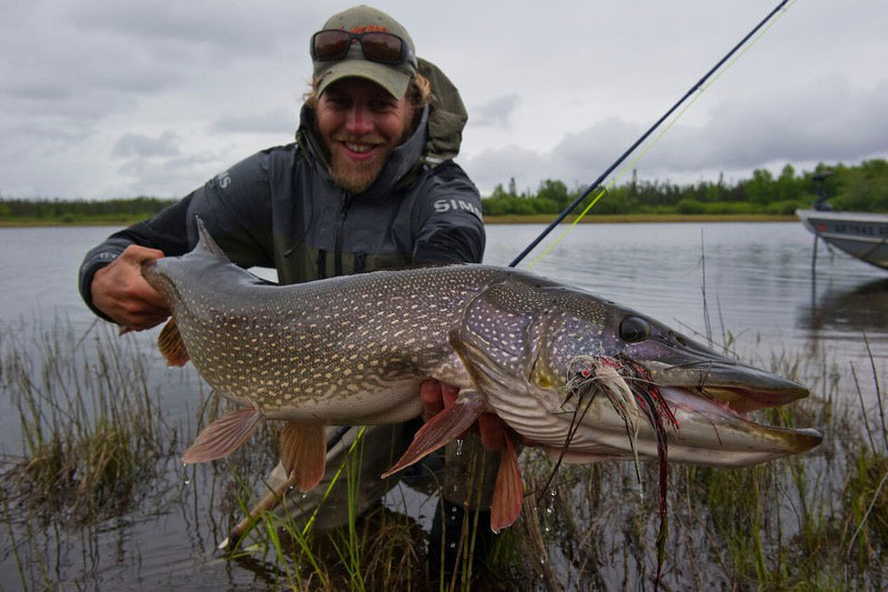 Alaskan Pike Fishing Nirvana on the Innoko River | Holidays | Where ...