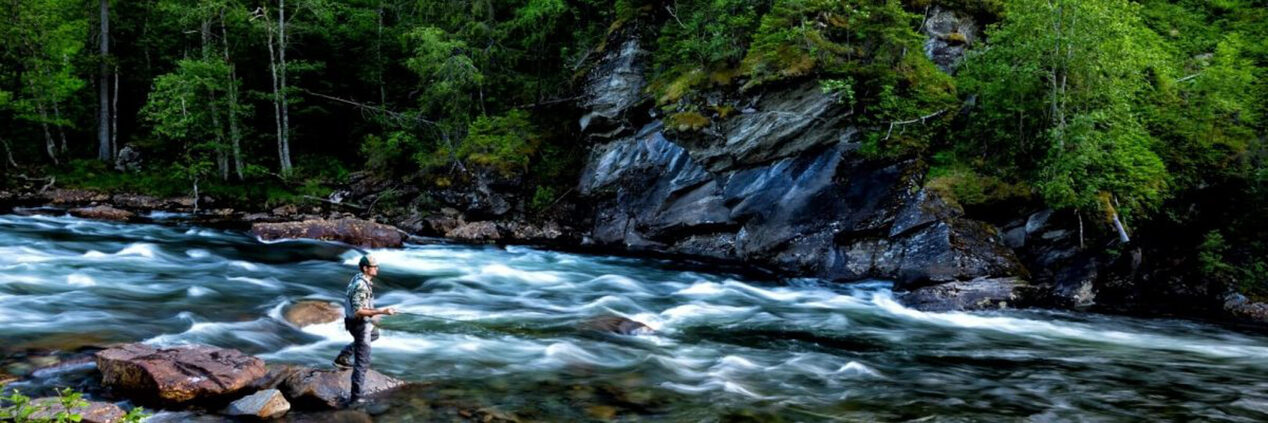 Gaula River-Norway Freshwater fishing guided trips, vacations, and ...