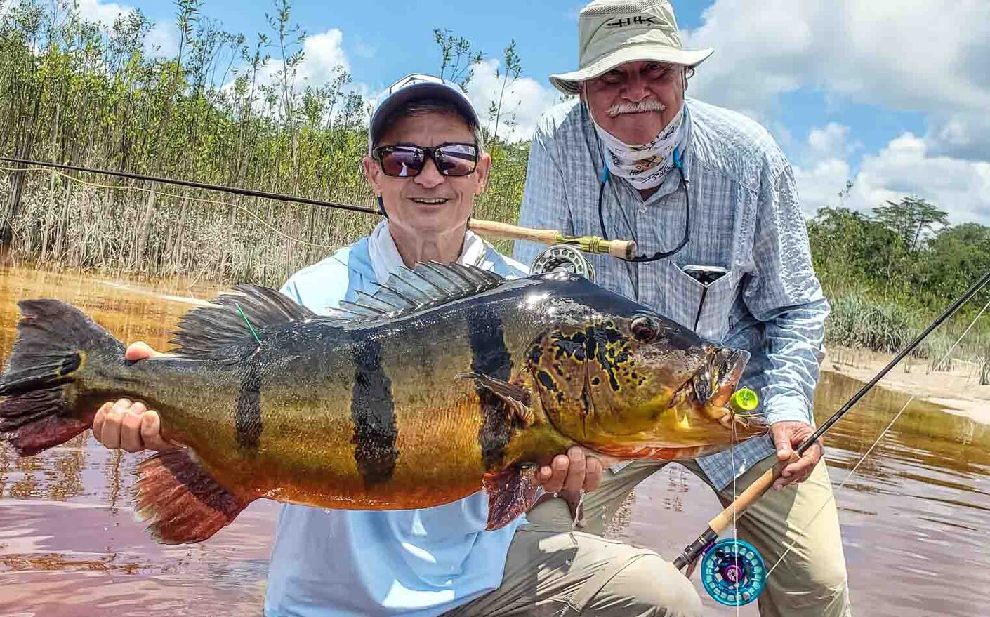 Rio de Gigantes -Tackling the monster Peacock Bass of the Amazon ...
