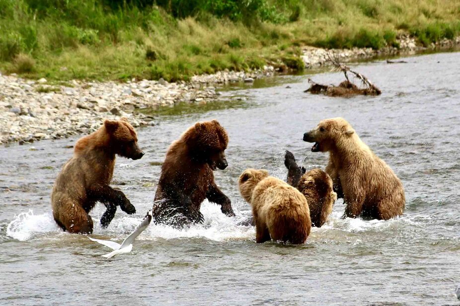 ATA Season Overview 2023 | Reports | Where Wise Men Fish